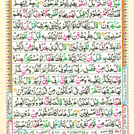 Chapter 19 Qualified Quran Teachers